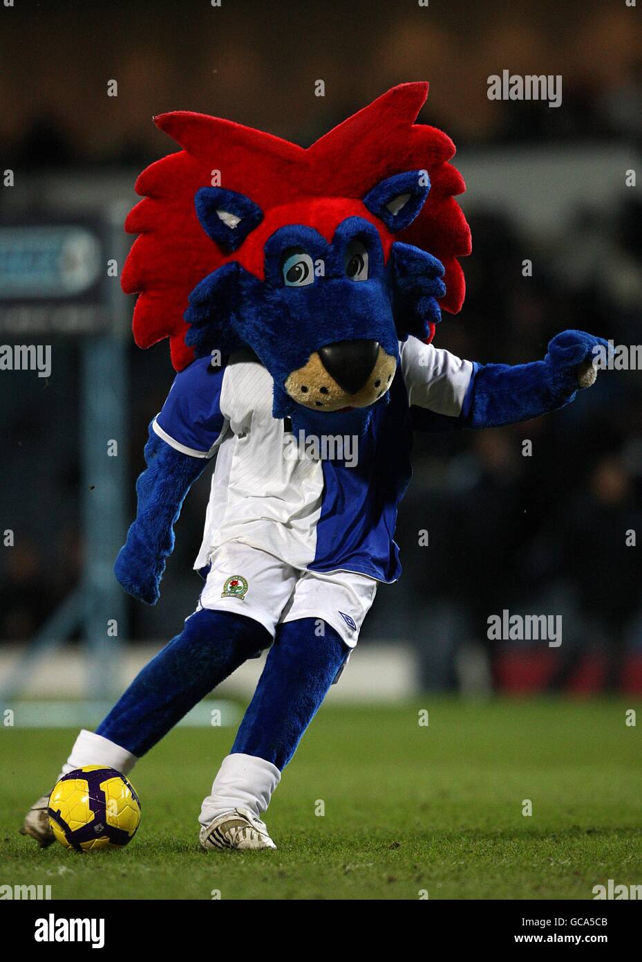 Blackburn rovers mascot roar hi-res stock photography and images - Alamy