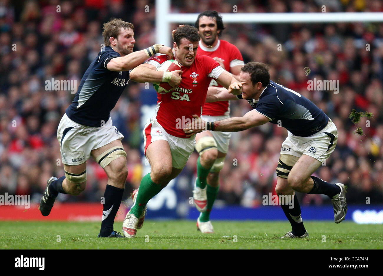 Jamie morrison hi-res stock photography and images - Alamy