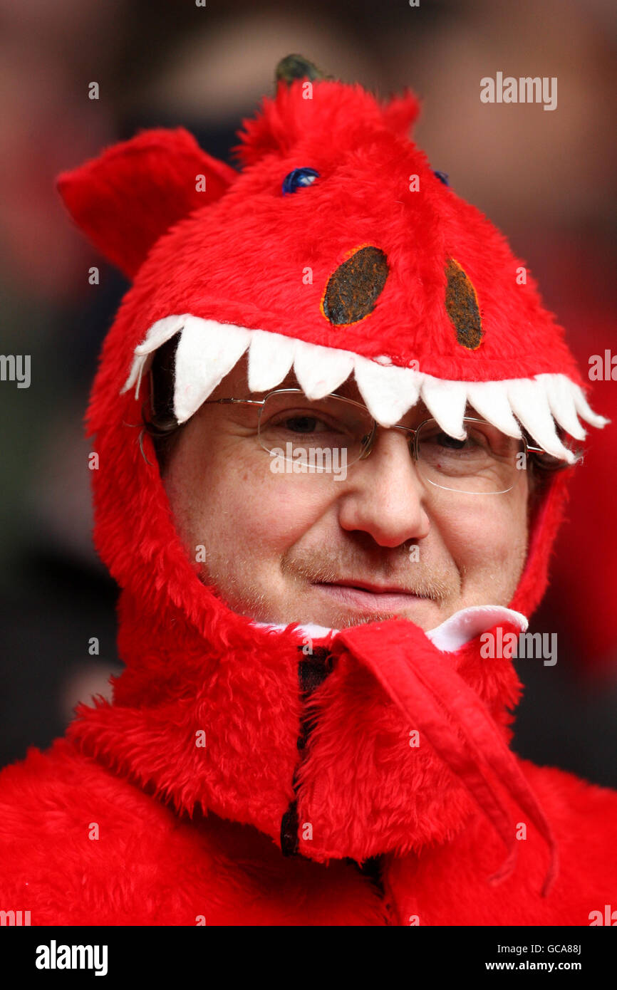 Welsh fan dressed as dragon watches the action from the hi-res stock ...