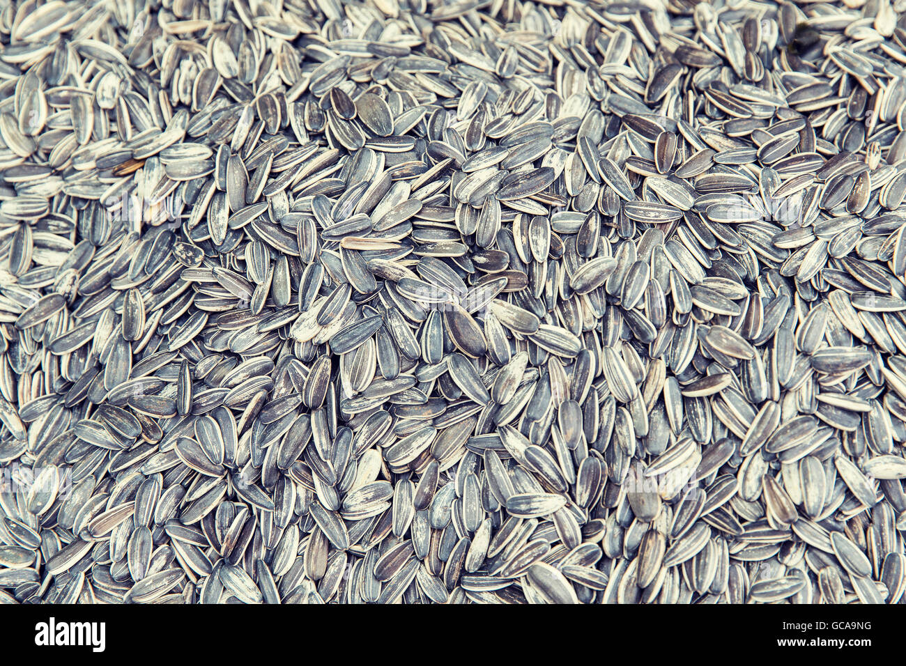 Sunflower seeds texture hi-res stock photography and images - Alamy