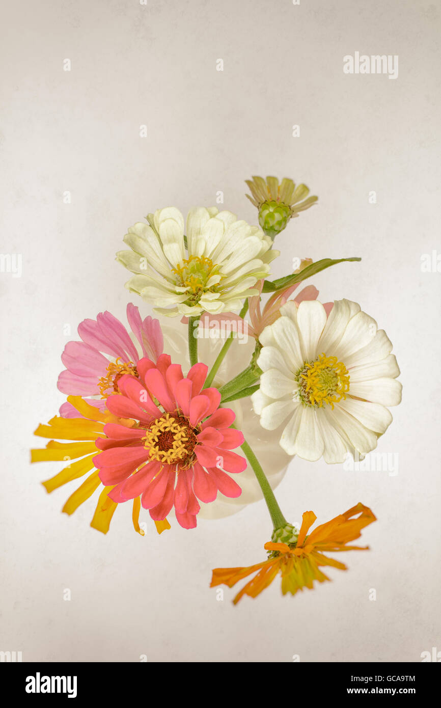 Flowers Vase Top View