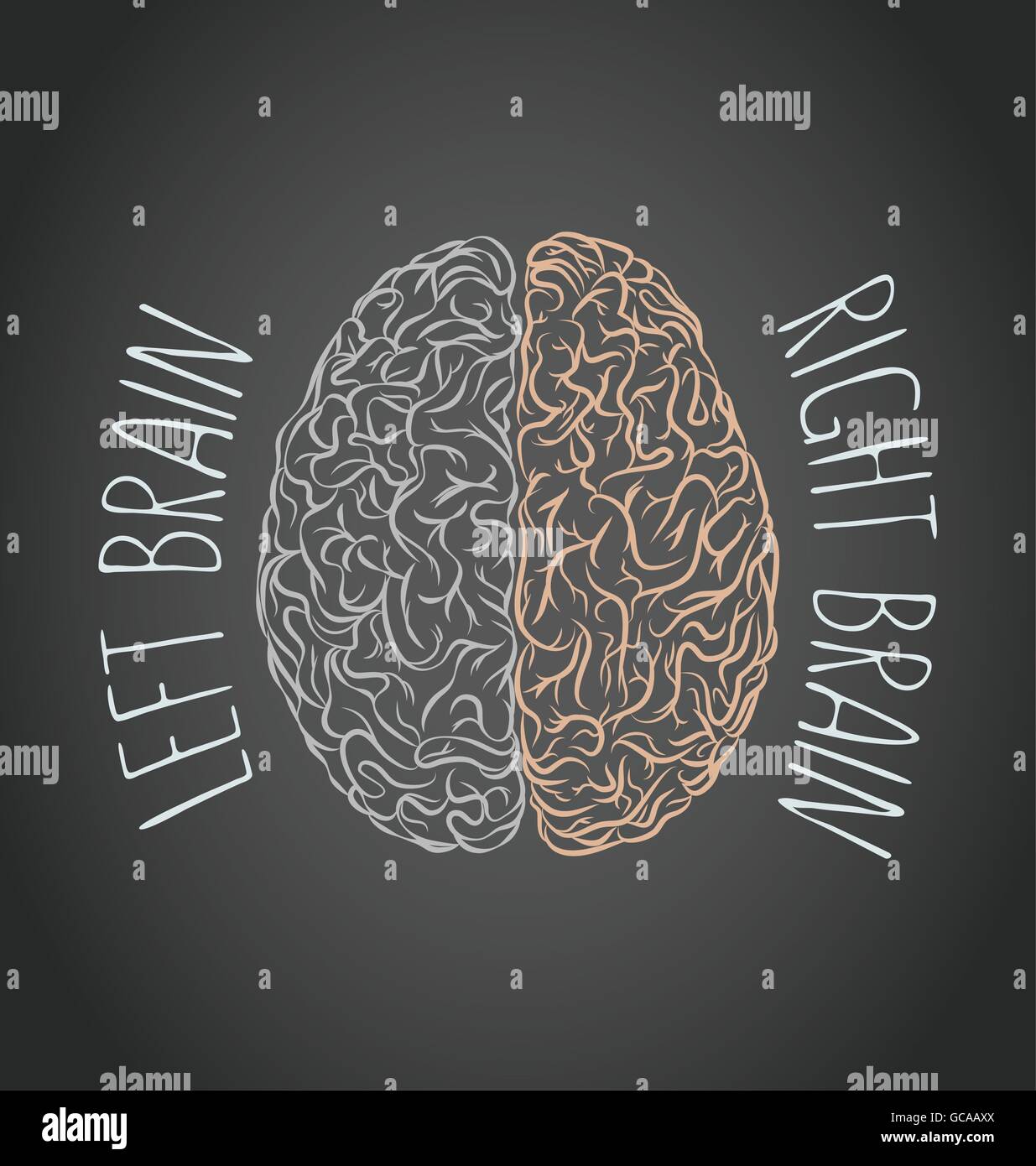Brain functions hi-res stock photography and images - Alamy