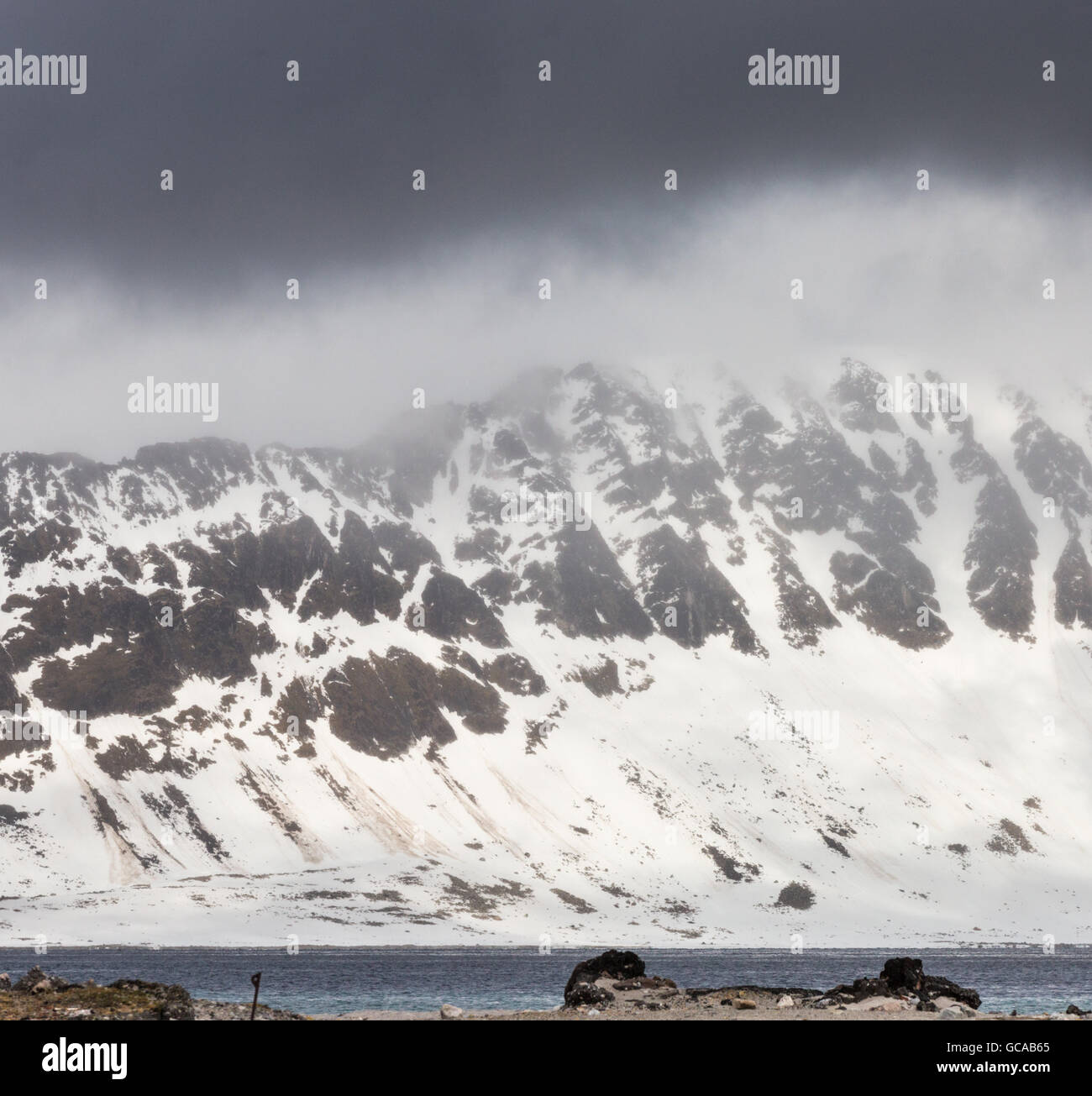 Whale blubber hi-res stock photography and images - Alamy
