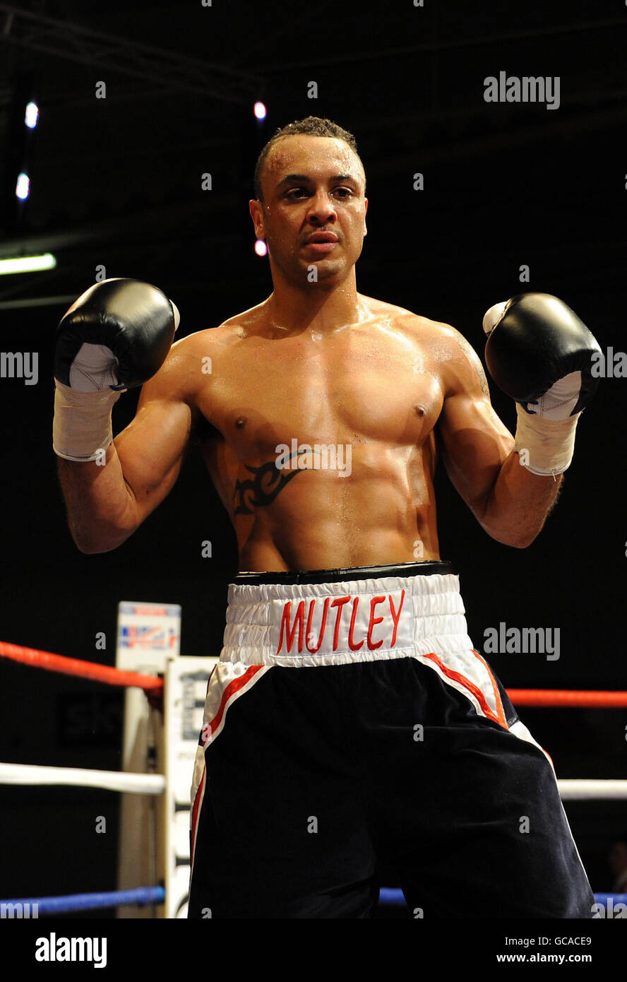 Young mutley hi-res stock photography and images - Alamy