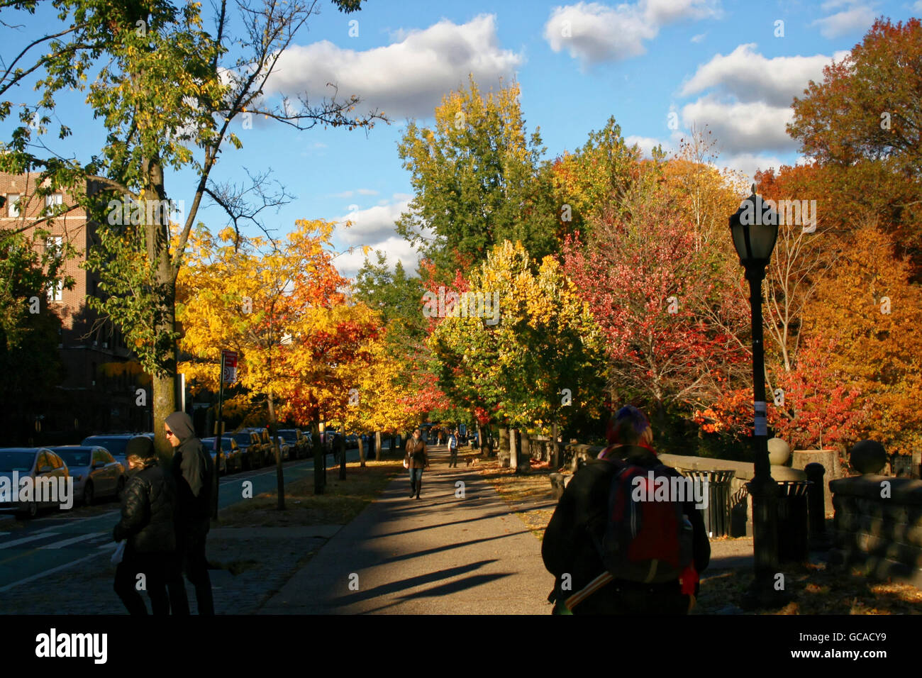 People walking alongside Prospect Pak on the sidewalk with Fall foliage ...