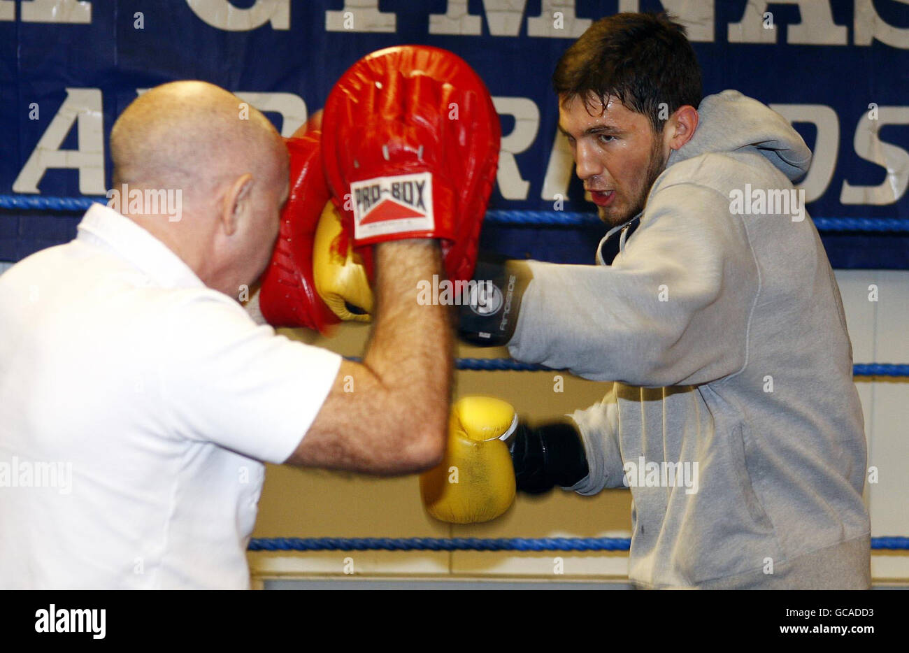 Welsh wales boxer hi-res stock photography and images - Alamy