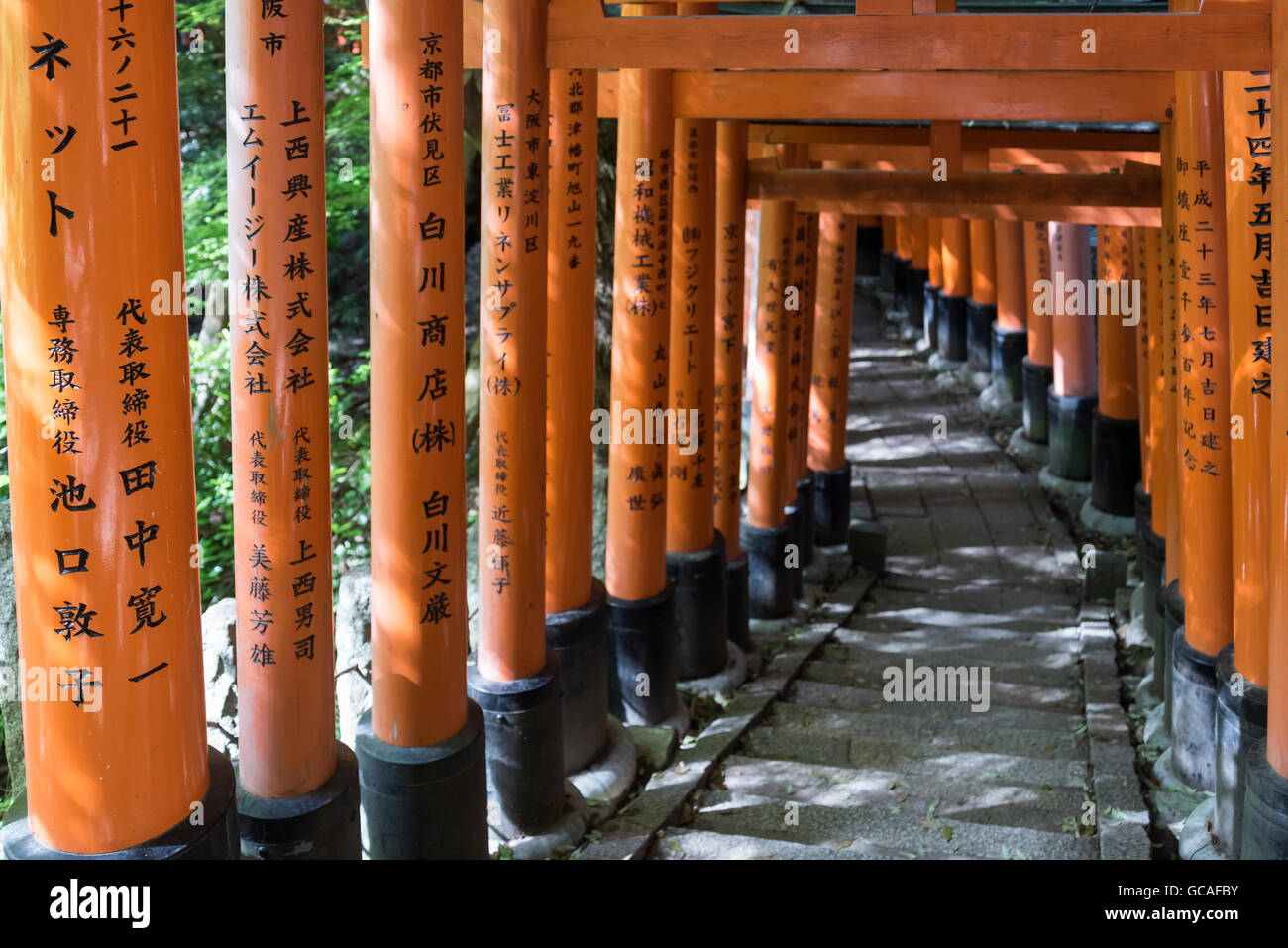Path lined with torii gates at Fushimi Inari-taisha Shrine, Kyoto ...