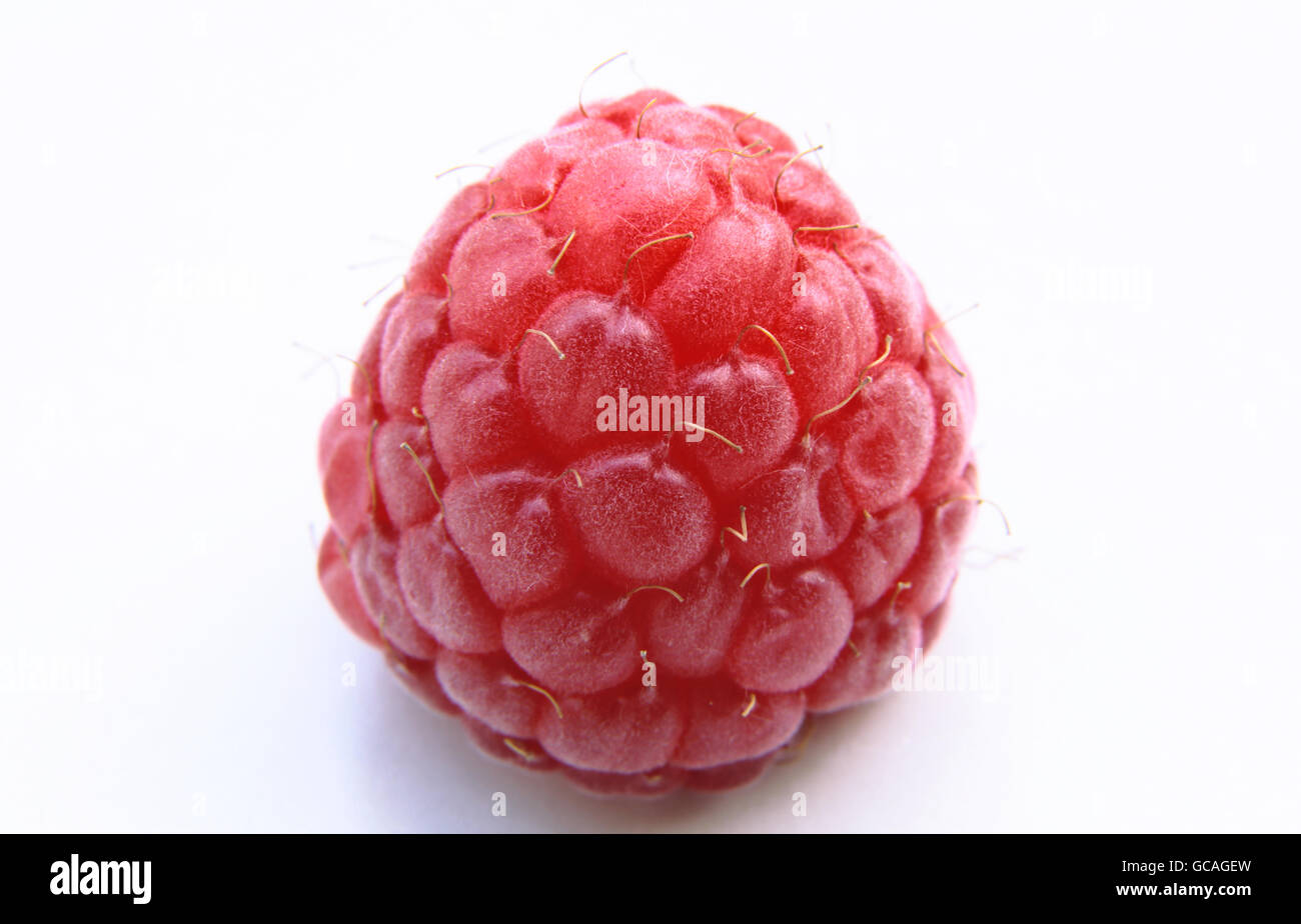 Hinberry hi-res stock photography and images - Alamy