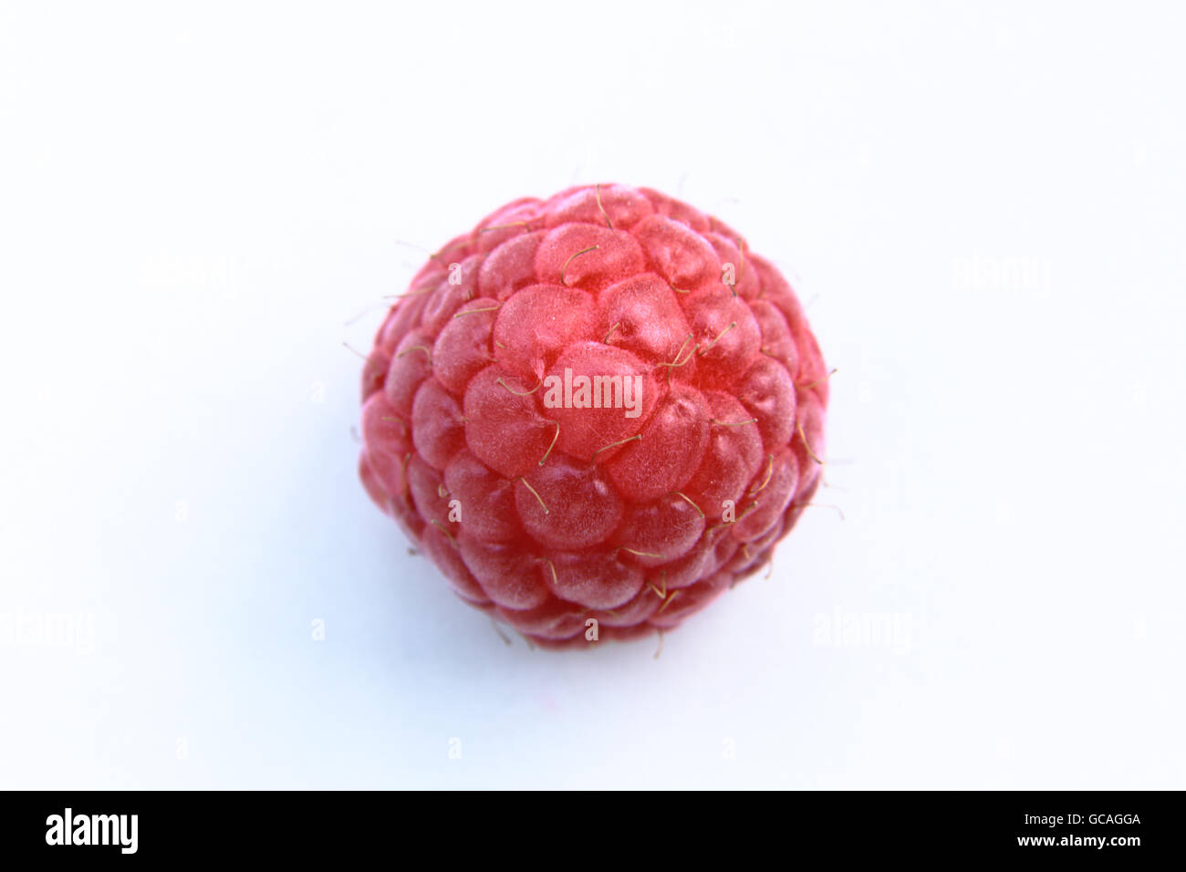 closeup of a bunch of red raspberries Stock Photo - Alamy