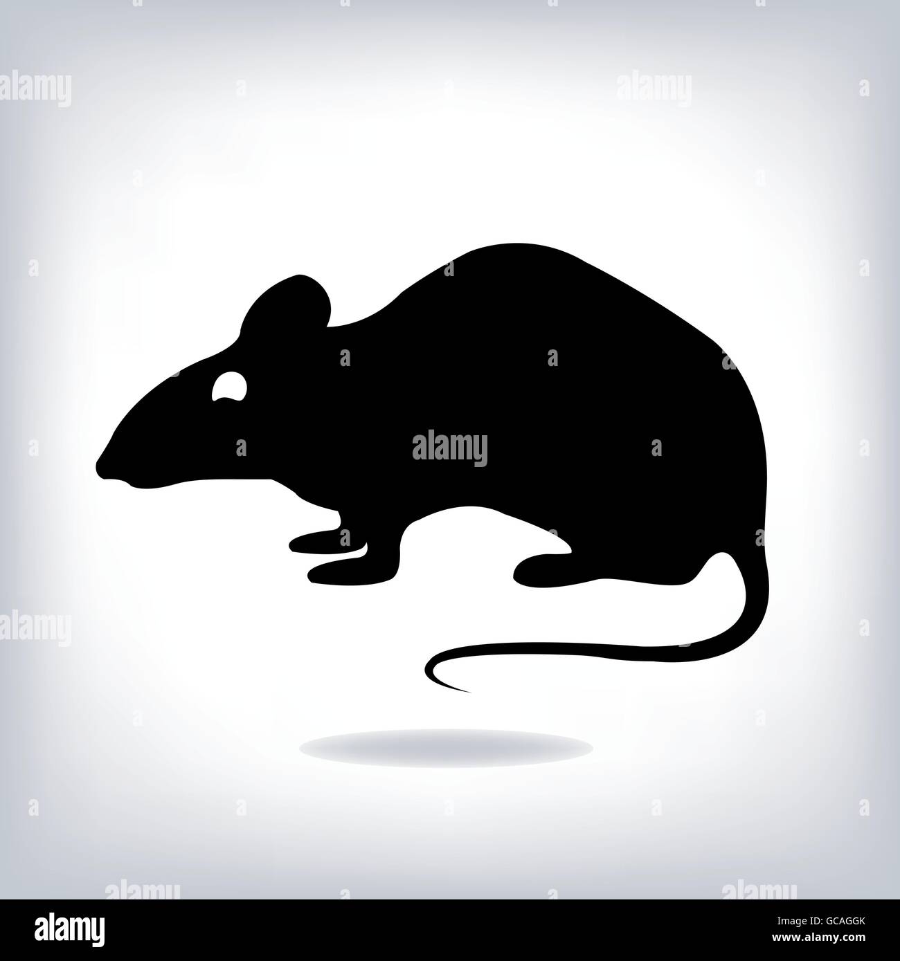 Vector rat for your design Stock Vector Image & Art - Alamy