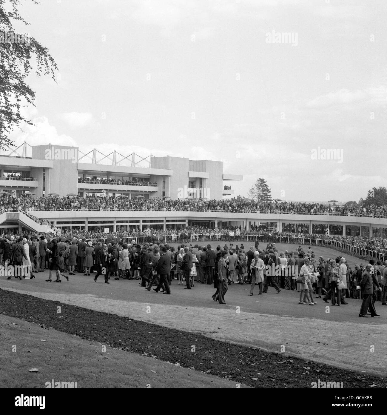 Horse racing sandown park esher Black and White Stock Photos & Images ...