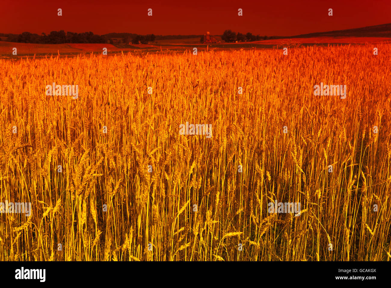 Usa pennsylvania farm sunrise hi-res stock photography and images - Alamy