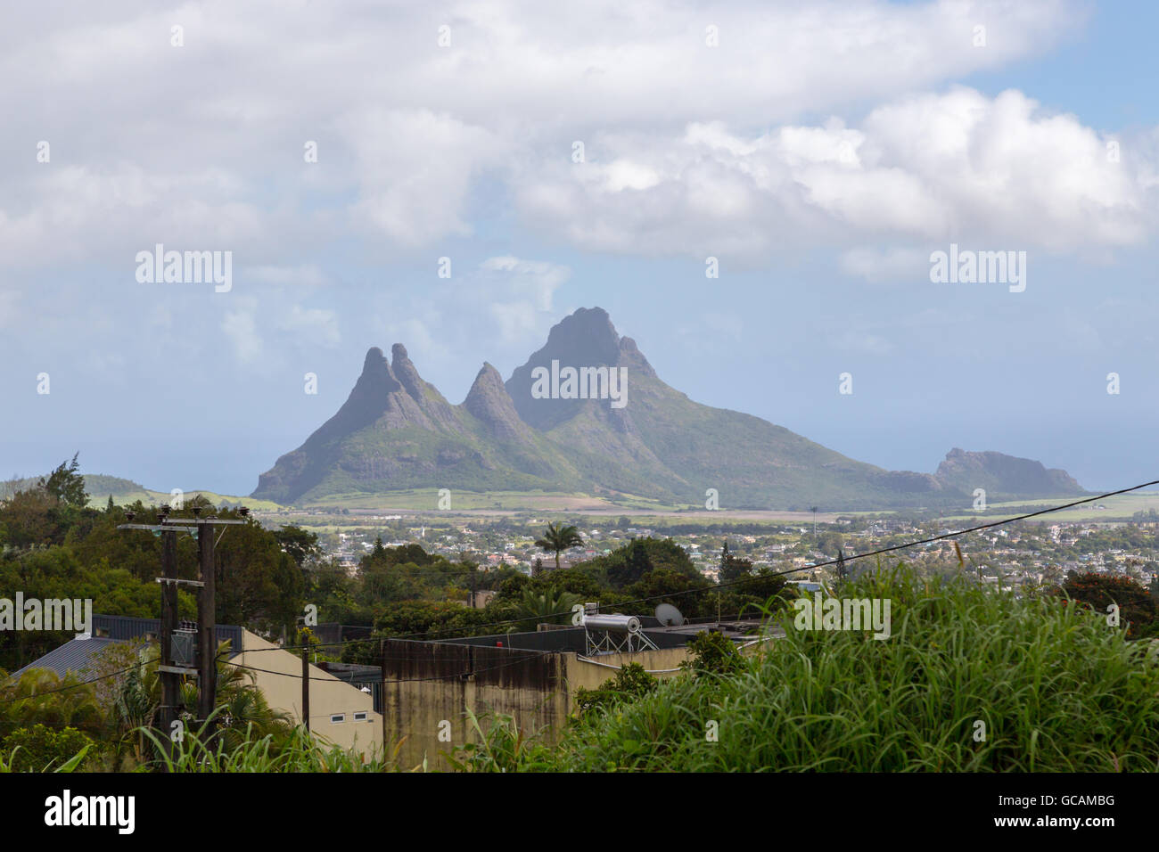 View on curepipe three mammals hi-res stock photography and images - Alamy