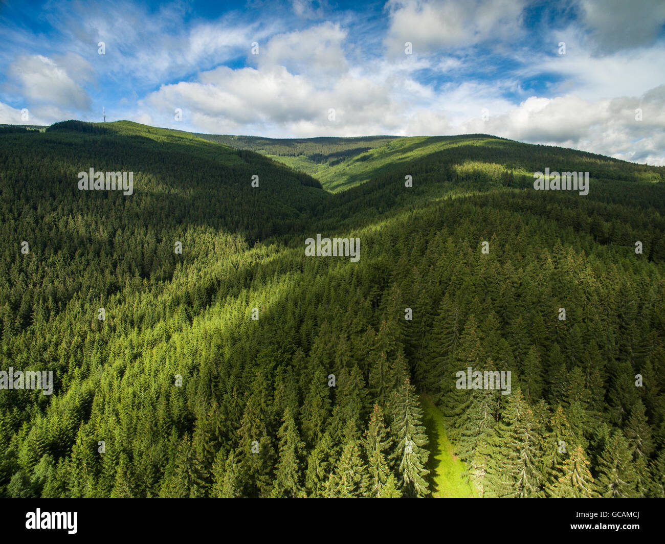 Aerial view of mountains covered with coniferous forests Stock Photo ...