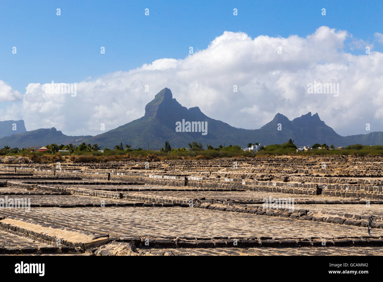 Piton de la petite riviere noire hi-res stock photography and images ...