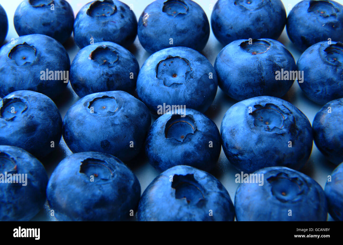 closeup of a bunch of blueberries Stock Photo - Alamy