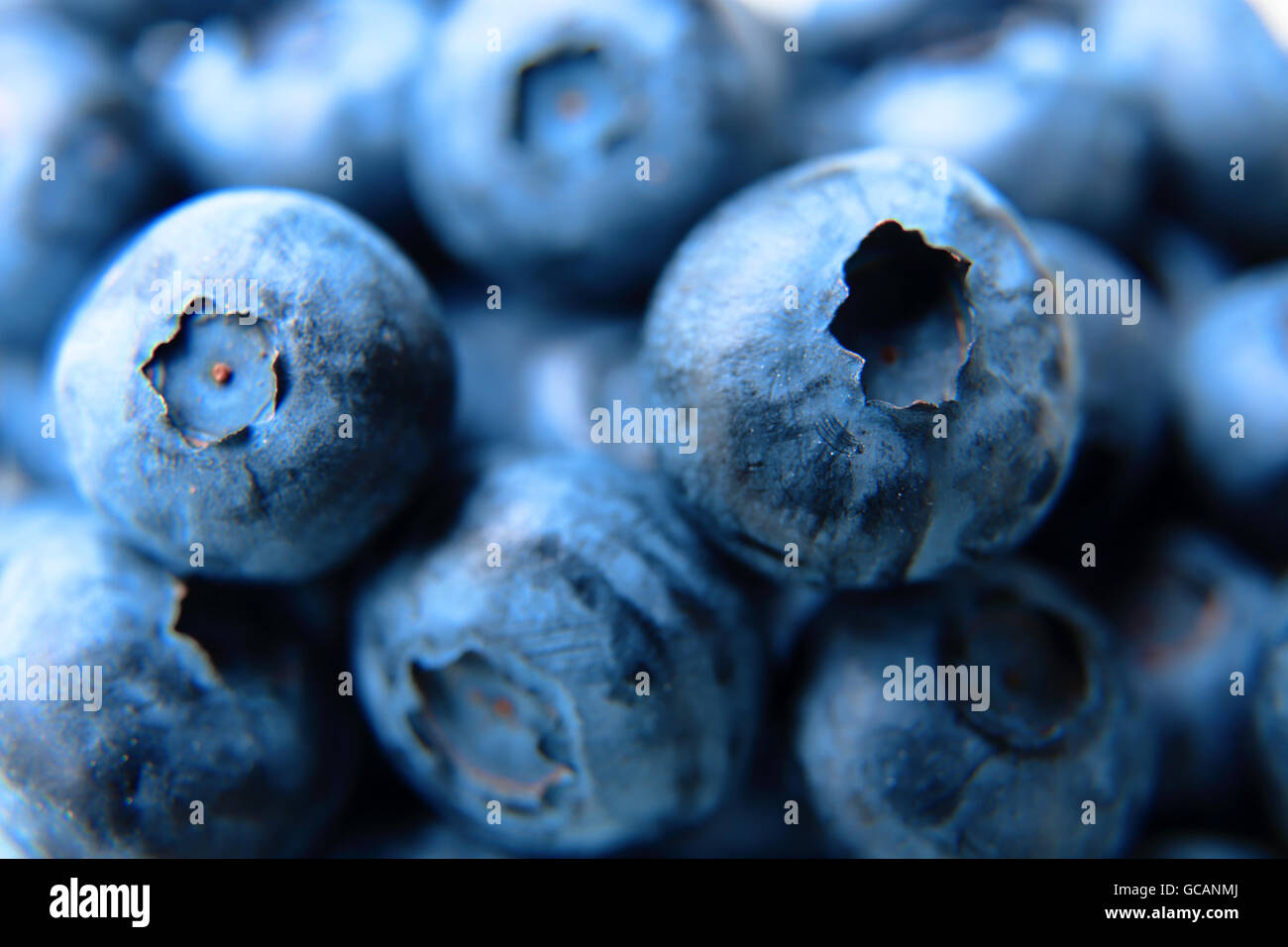 closeup of a bunch of blueberries Stock Photo - Alamy
