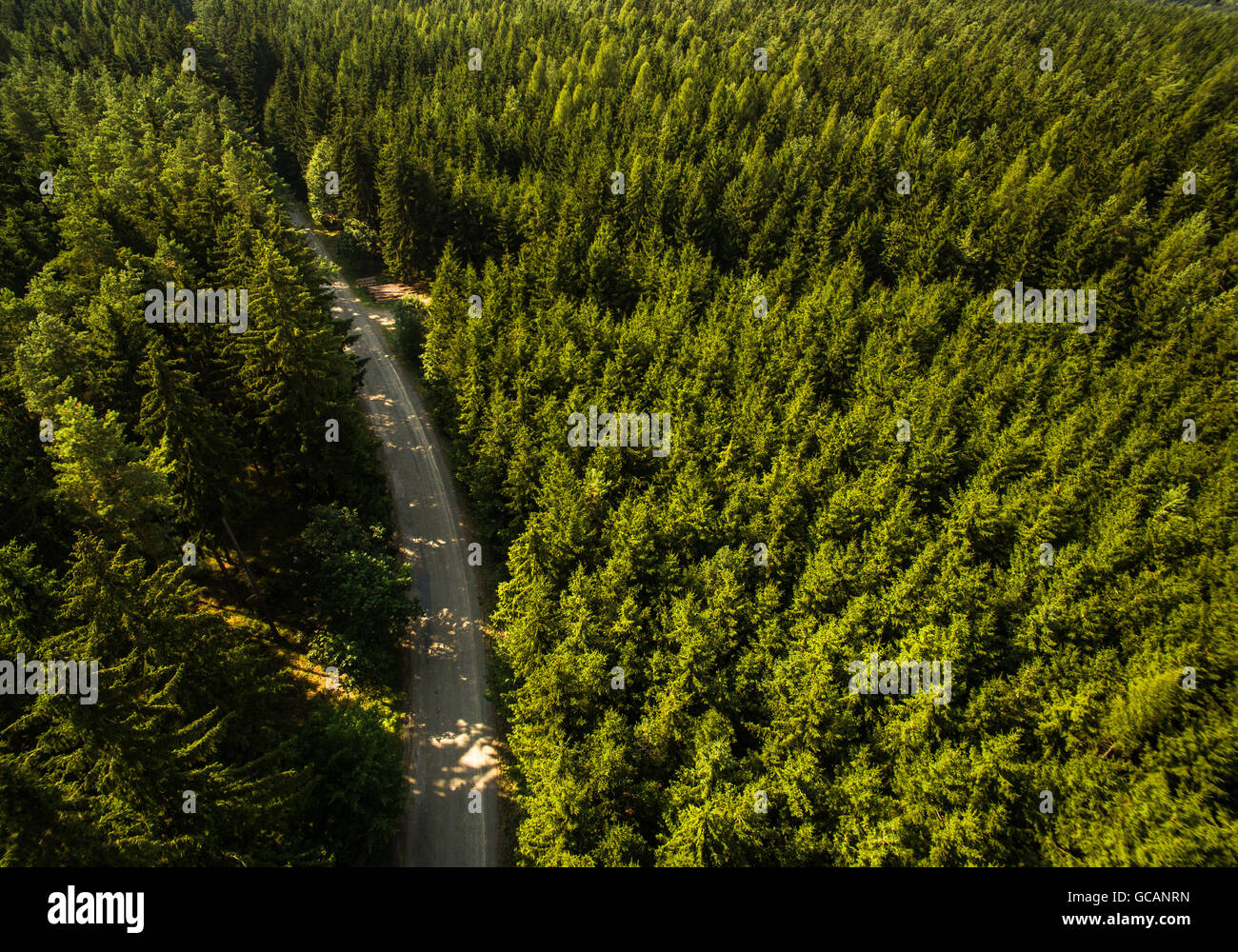 Aerial view of vast forests Stock Photo - Alamy