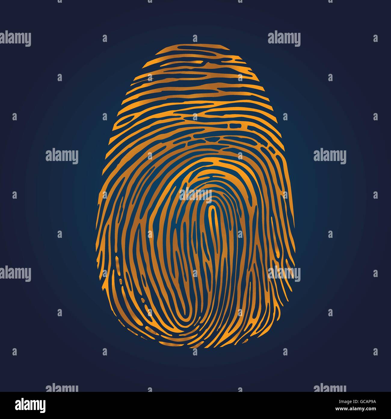 Fingerprints on blue. Vector Illustrator eps 10 Stock Vector Image ...