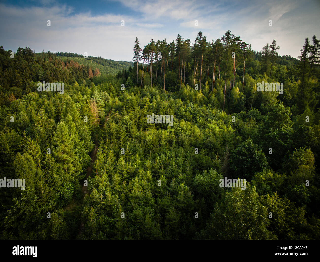 Aerial view of vast forests Stock Photo - Alamy