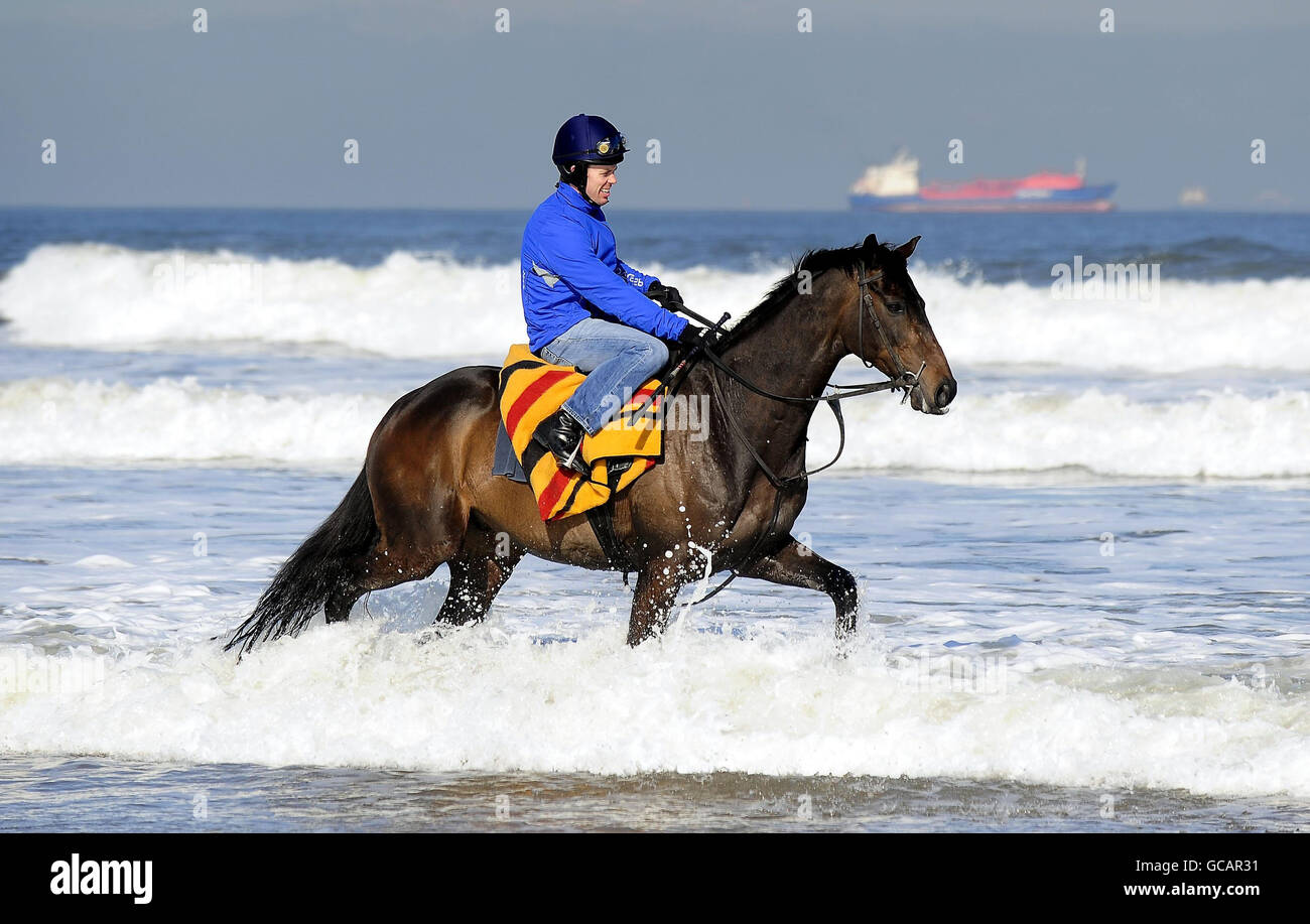 Galloping exercises hi-res stock photography and images - Alamy