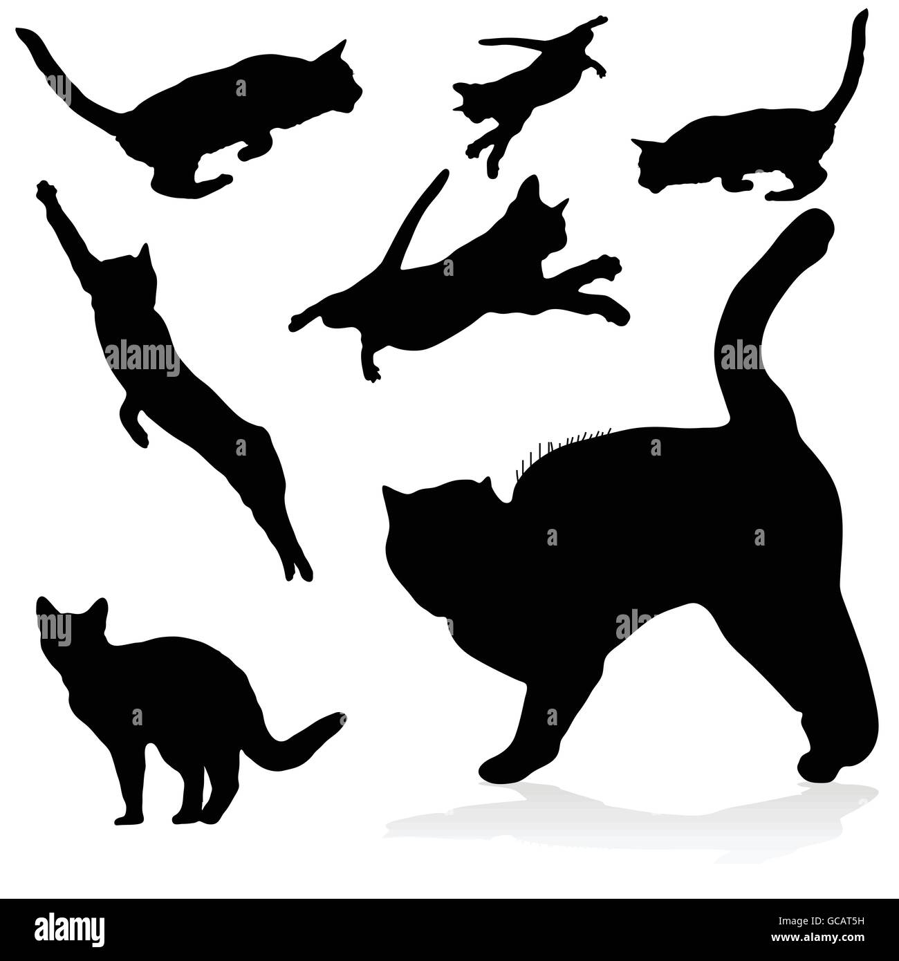 Spotted cat black white Stock Vector Images - Alamy