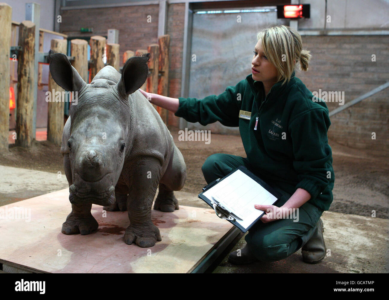 Rhino Weight High Resolution Stock Photography and Images - Alamy