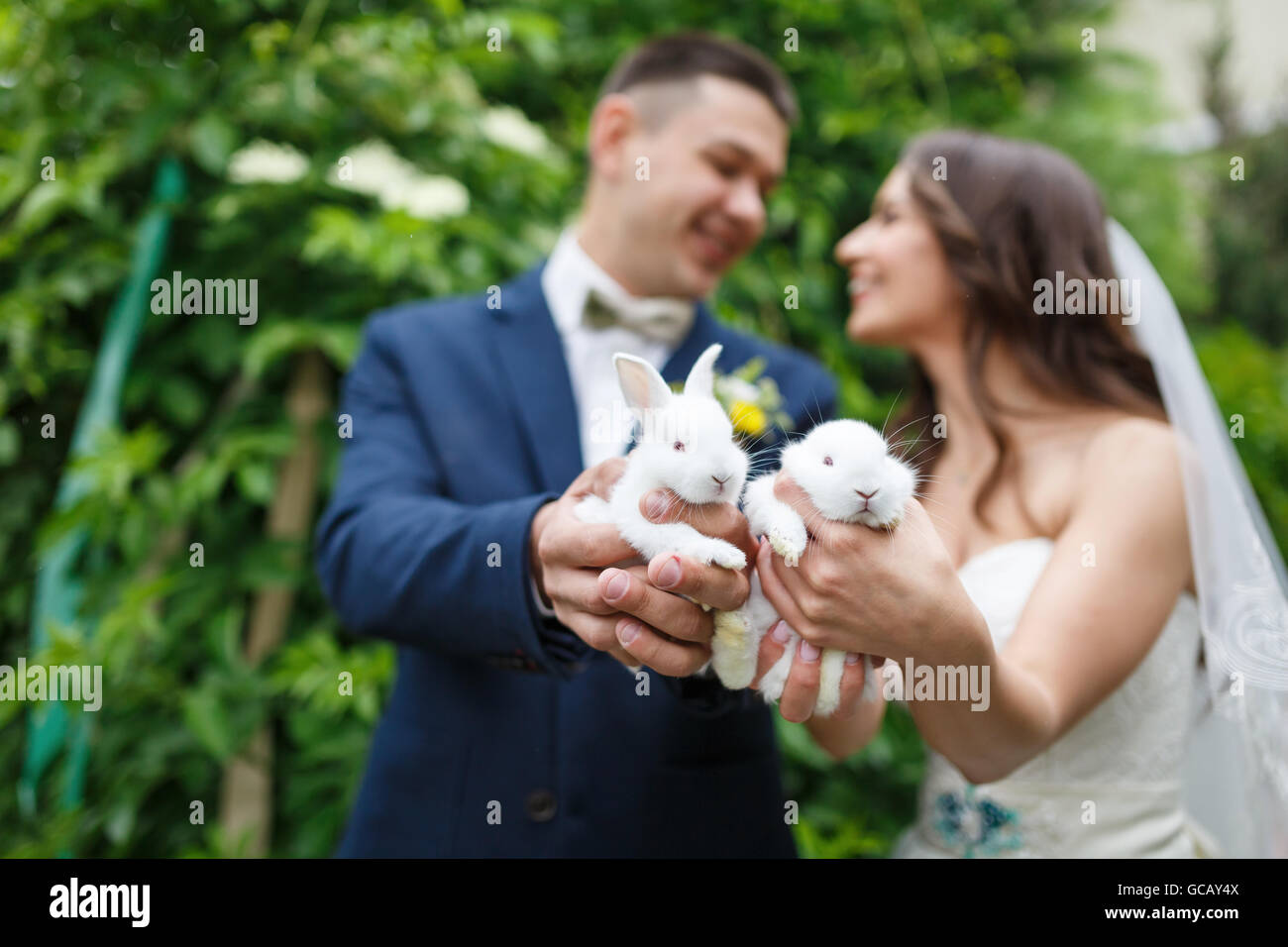 wedding couple are holding two small rabbits, summer time Stock Photo ...