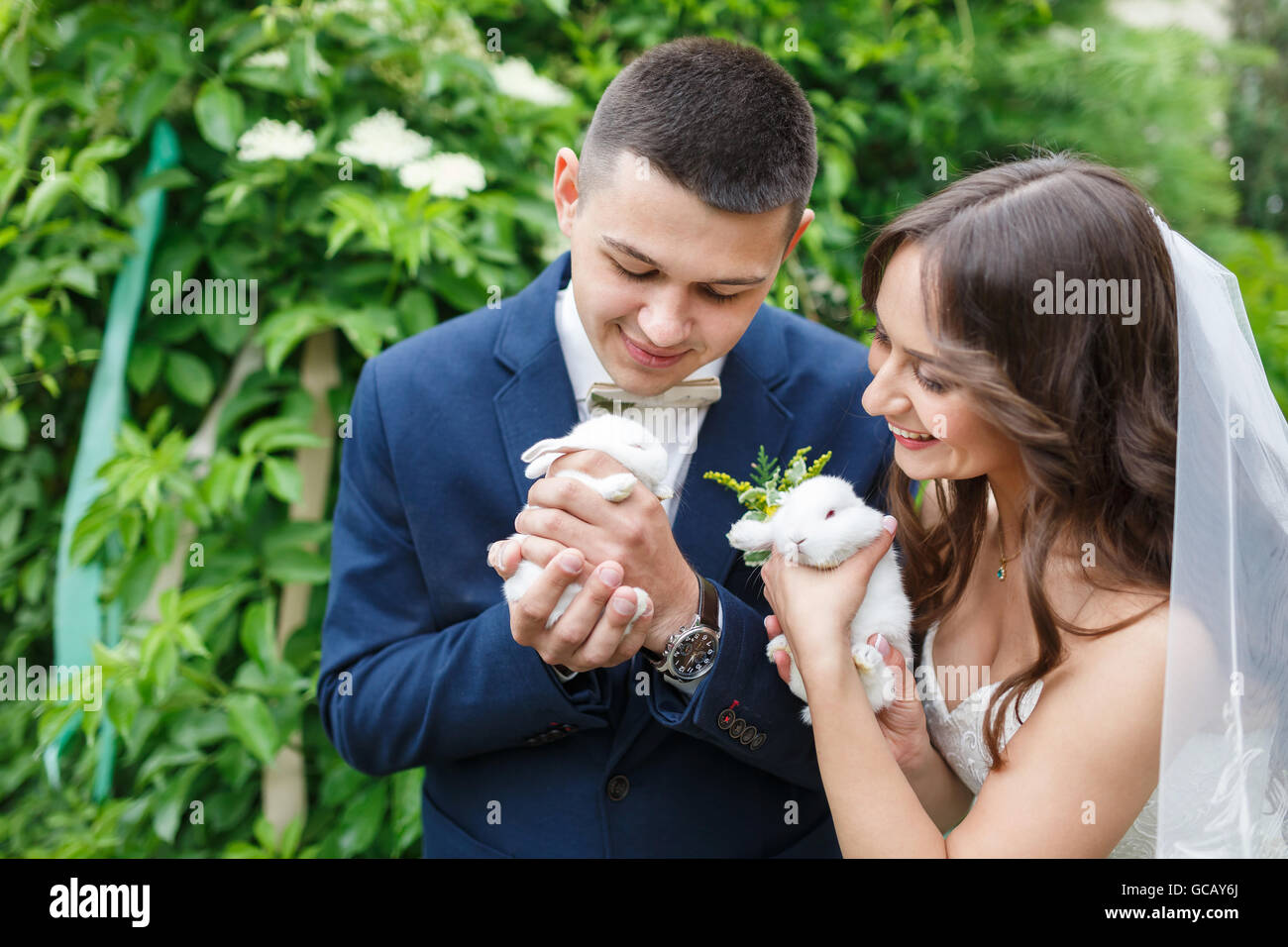 wedding couple are holding two small rabbits, summer time Stock Photo ...