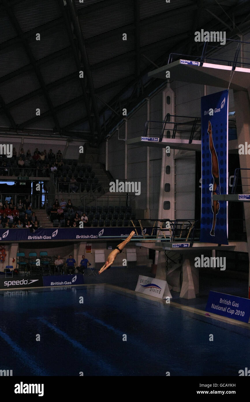 Diving - British Gas National Diving Cup 2010 - Ponds Forge Stock Photo ...