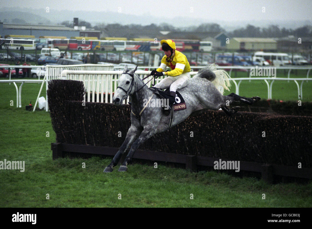 Hennessy cognac horse hi-res stock photography and images - Alamy