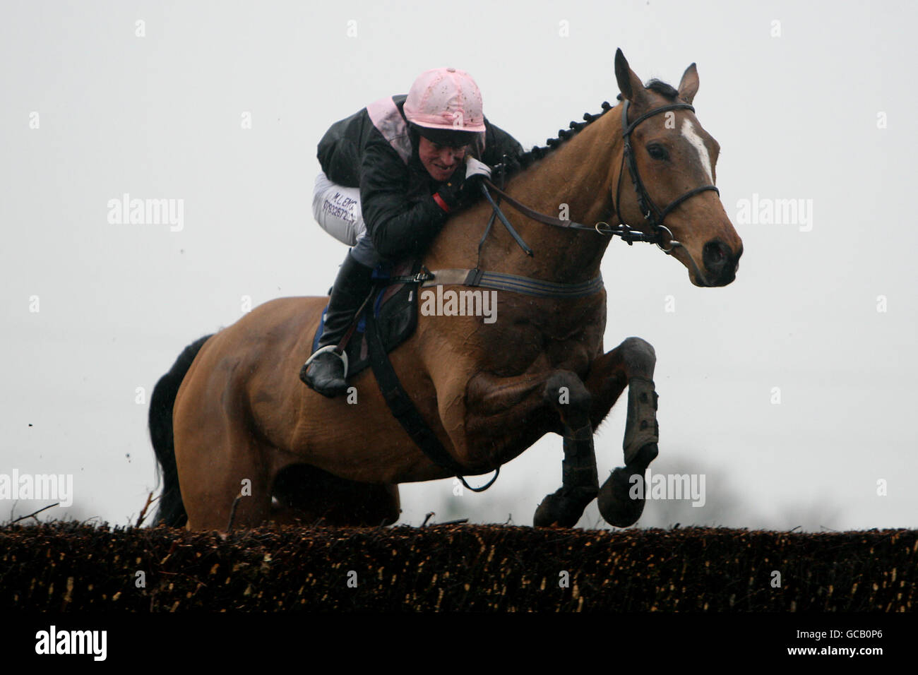 Jockey Colin Bolger on Absolute Shambles during the Racing UK Novices ...