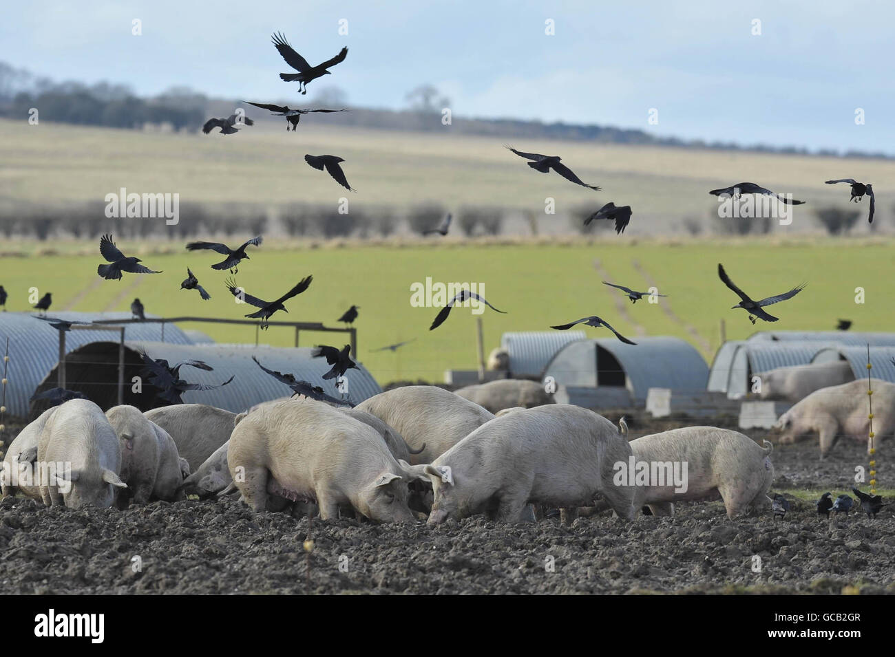 Standalone farm building hi-res stock photography and images - Alamy