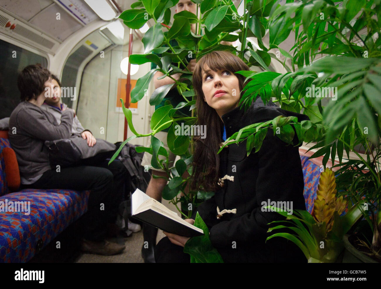 Zoo transports rainforest plants on tube Stock Photo - Alamy