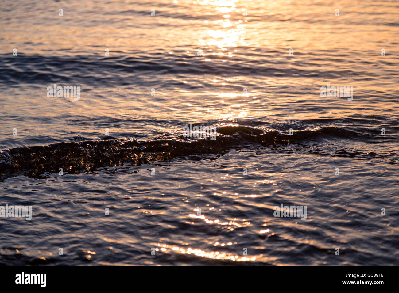 ocean ripples at the sunset for backgrounds Stock Photo - Alamy