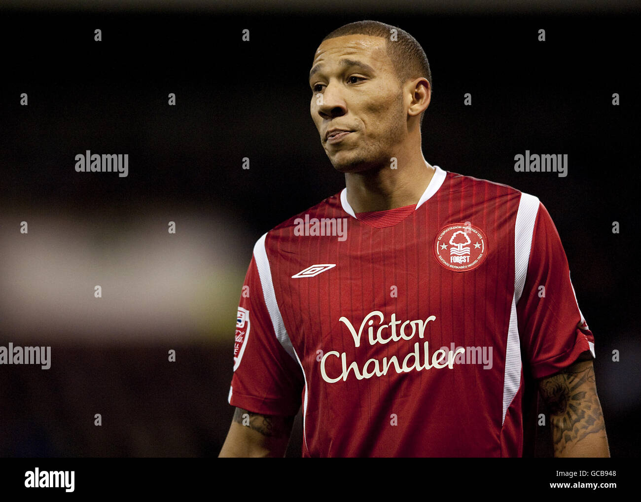 Kelvin wilson forest hi-res stock photography and images - Alamy