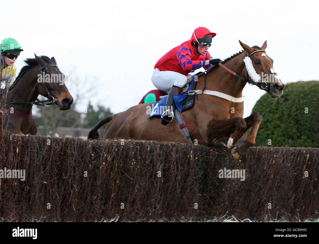Horse Racing Royal Artillery Gold Cup Day Sandown Park High Resolution ...