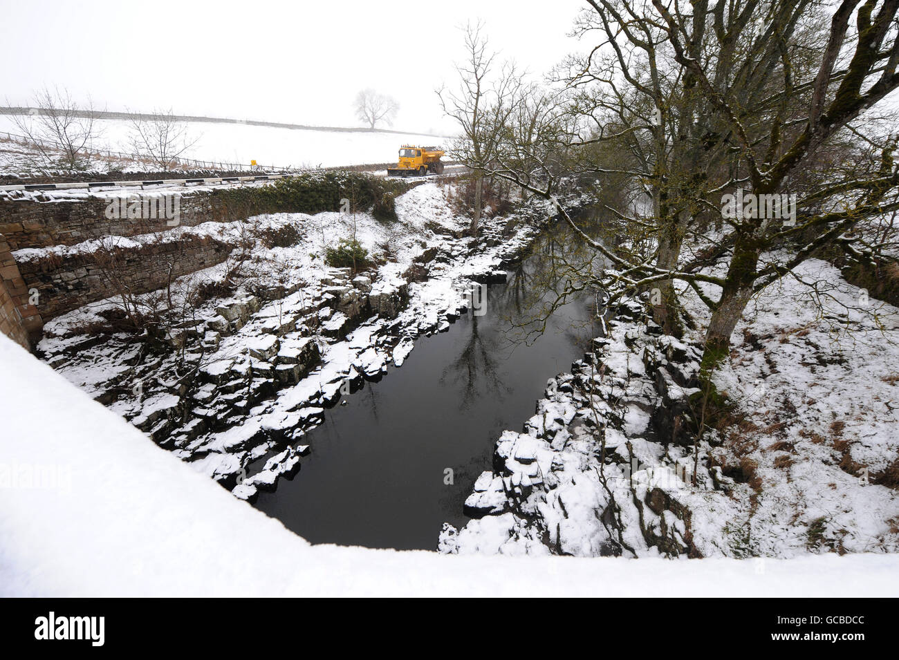 To fell a tree hi-res stock photography and images - Alamy
