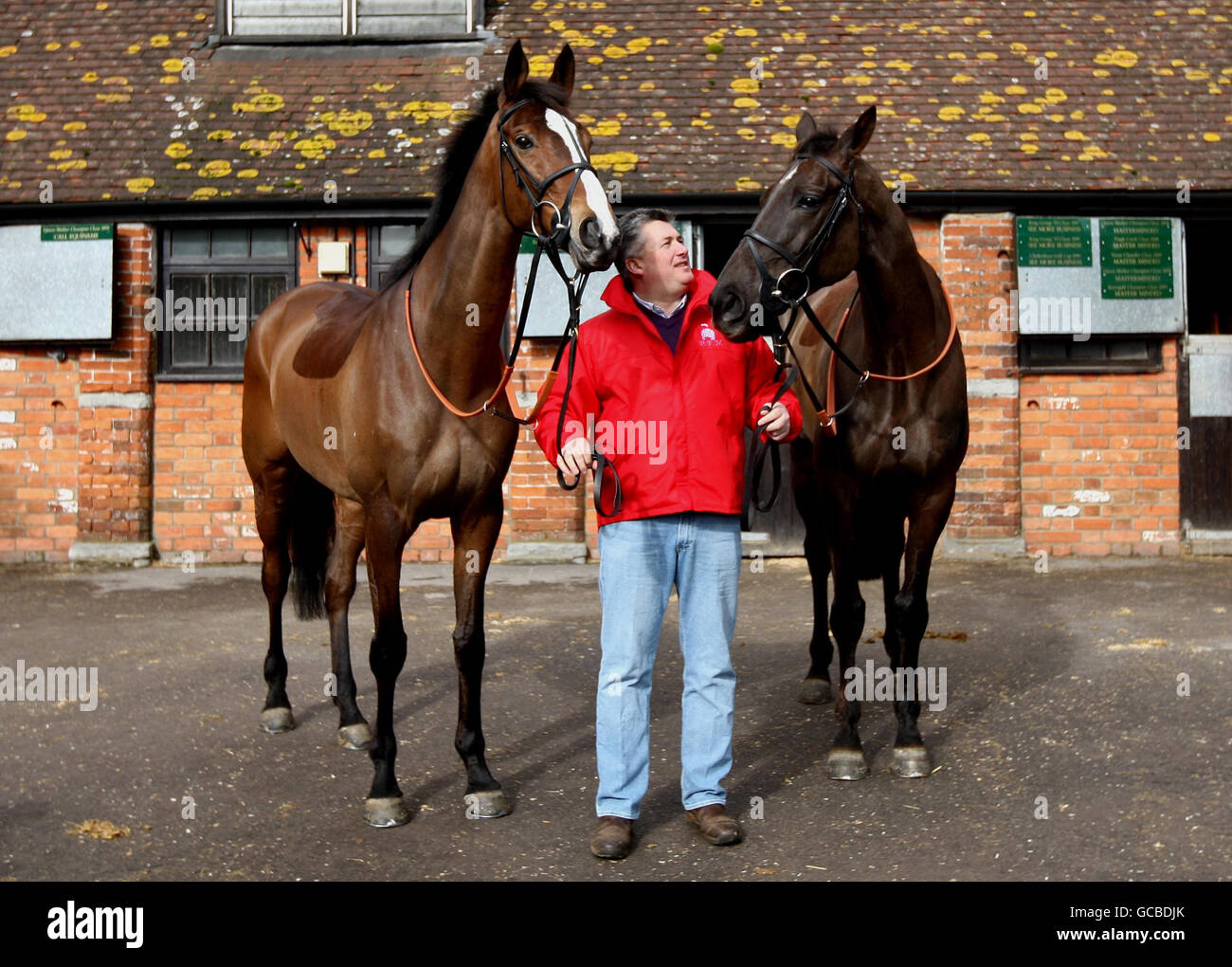 Trainer Paul Nicholls with Kauto Star (left) and Denman during the ...