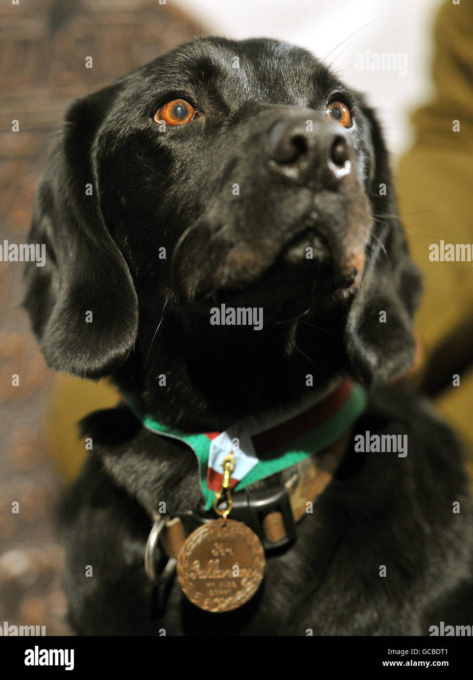 Being awarded medal ceremony imperial war museum in south london hi-res ...