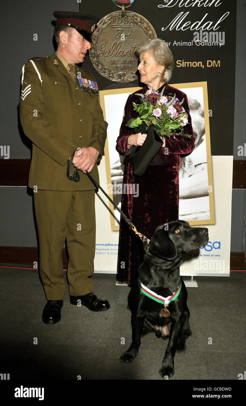 British army dog handler during hi-res stock photography and images - Alamy