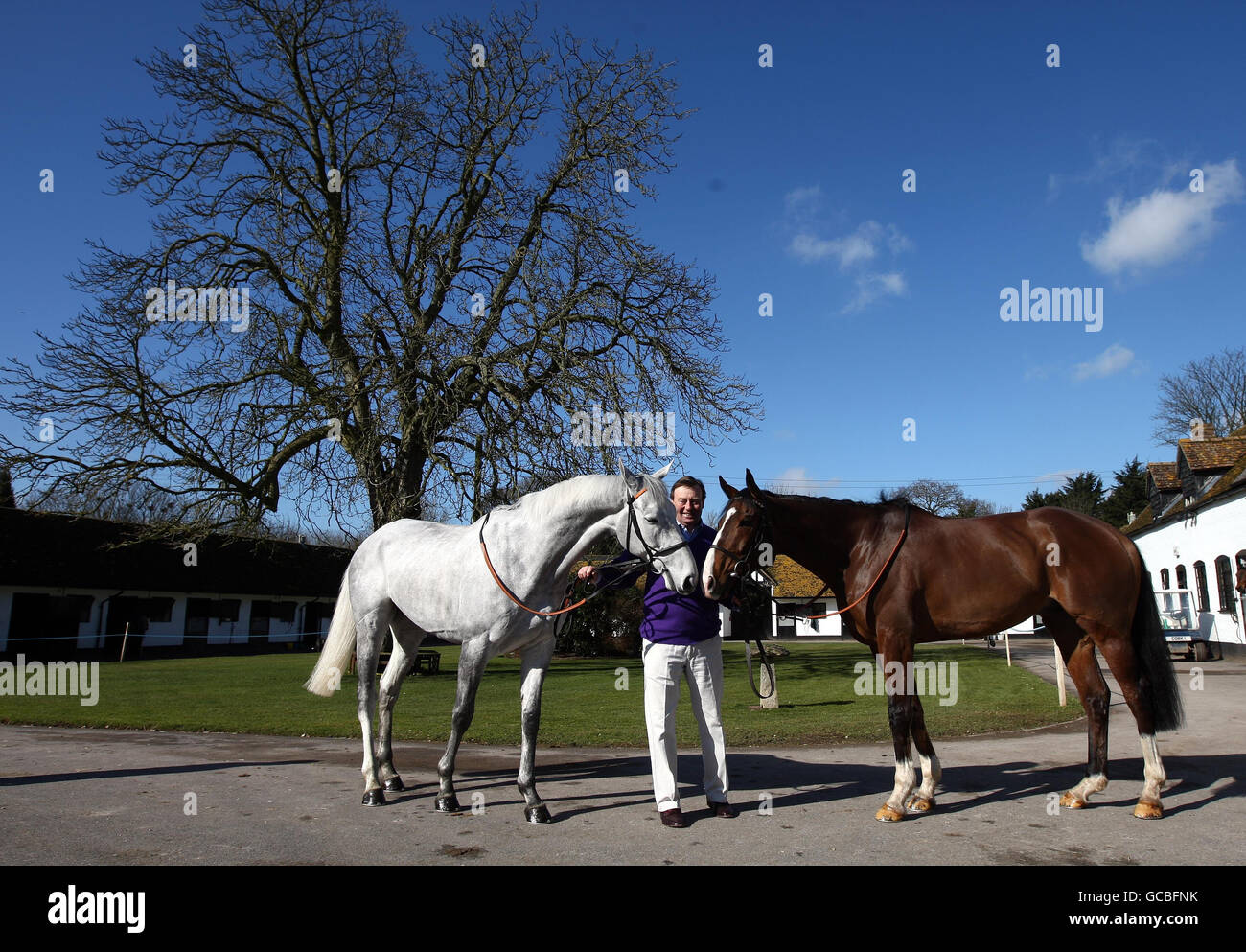 Horse stable racing hi-res stock photography and images - Alamy