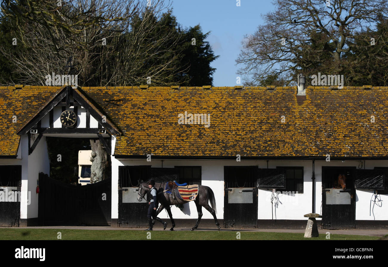 Henderson's hi-res stock photography and images - Alamy