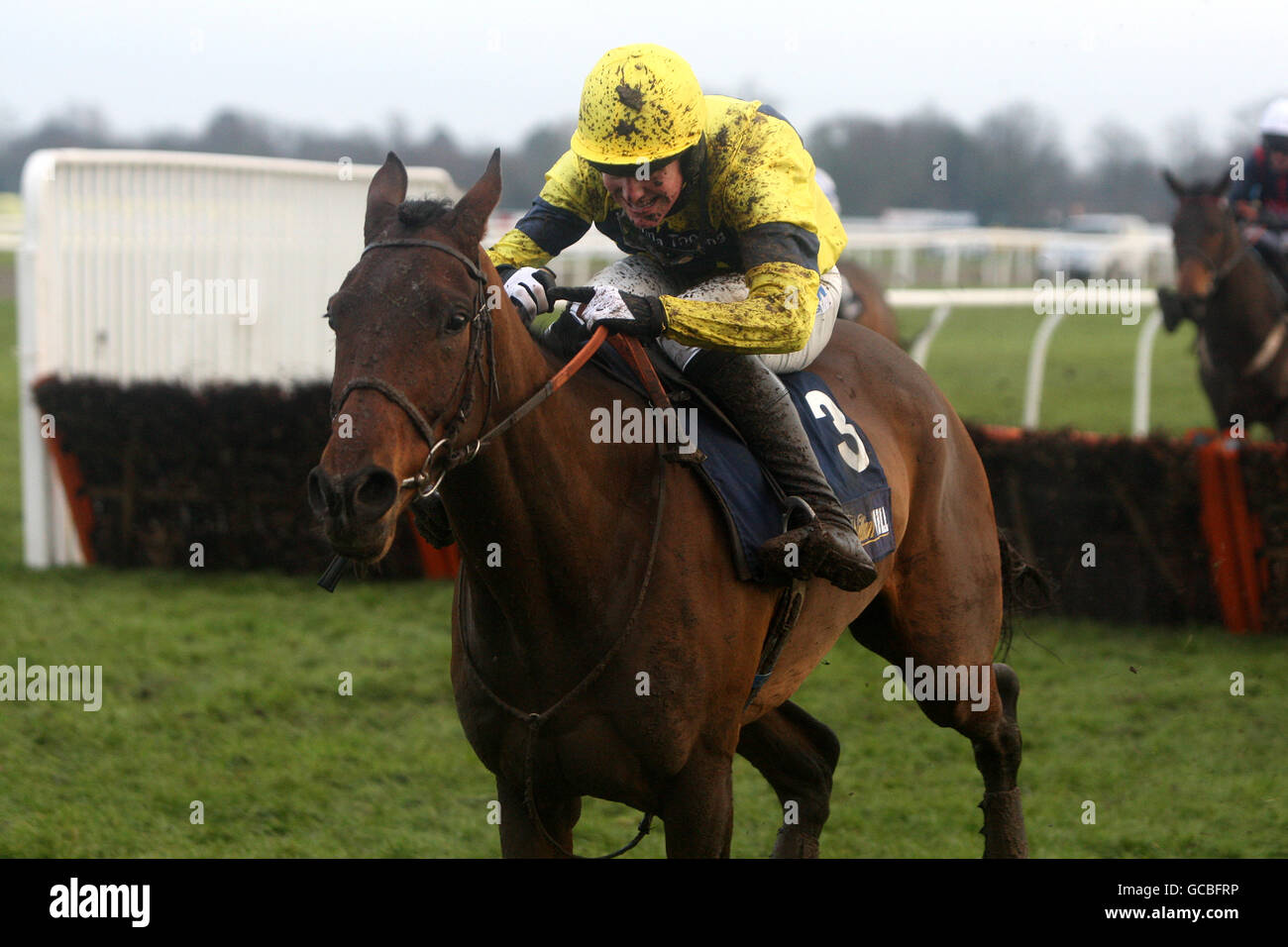 Micheal Flips ridden by jockey Nick Schofield in action during the ...