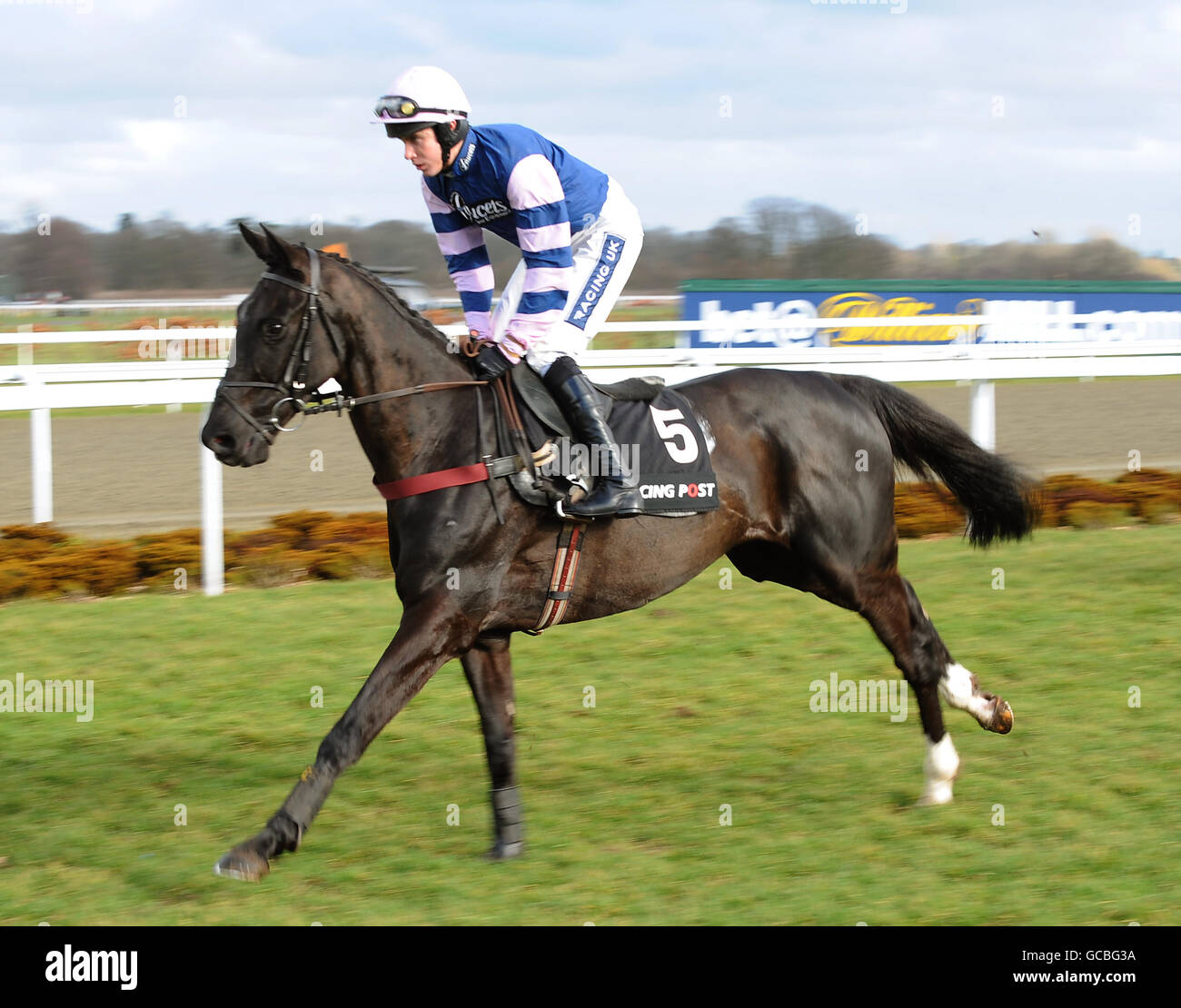 Atouchbetweenacara ridden by Aidan Coleman goes to post for the Racing ...