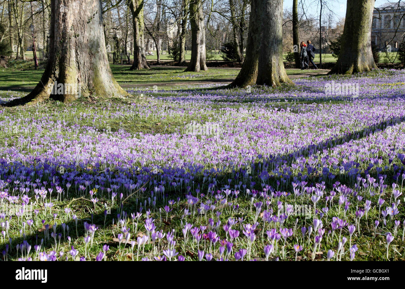 Weather spring britviewfirstround britainimagescollectionmove hi-res ...