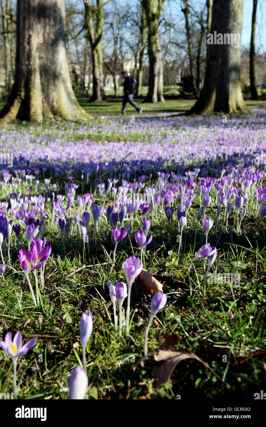 Weather spring britviewfirstround britainimagescollectionmove hi-res ...