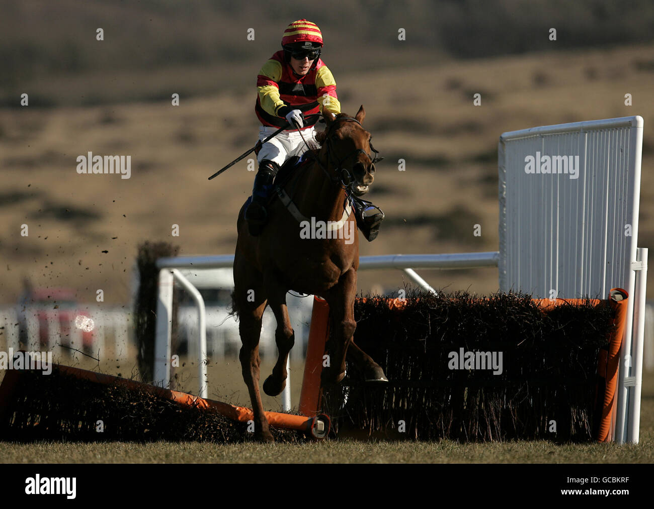 Horse Racing - Celtic Day - Flos Las Racecourse Stock Photo - Alamy