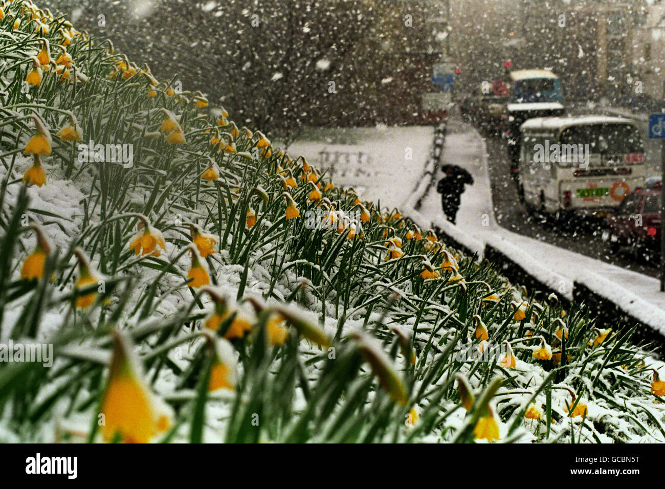 BRITISH SUMMERTIME: HEAVY SNOW Stock Photo - Alamy