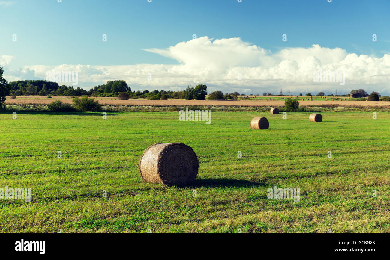 Rolls of haystacks on the field hi-res stock photography and images - Alamy